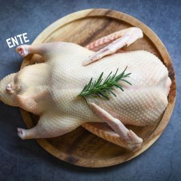 Ente Bio-Fleisch aus Hamburg für die Welt